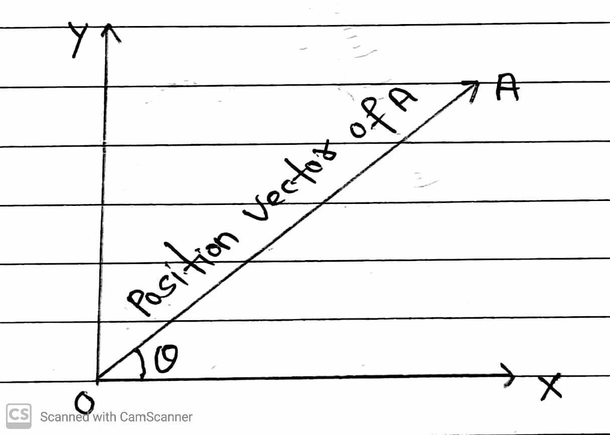Position And Displacement Vectors » Maths And Physics With Pandey Sir